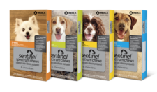 Sentinel® Spectrum Chews for Dogs - Pet Vaccination Services